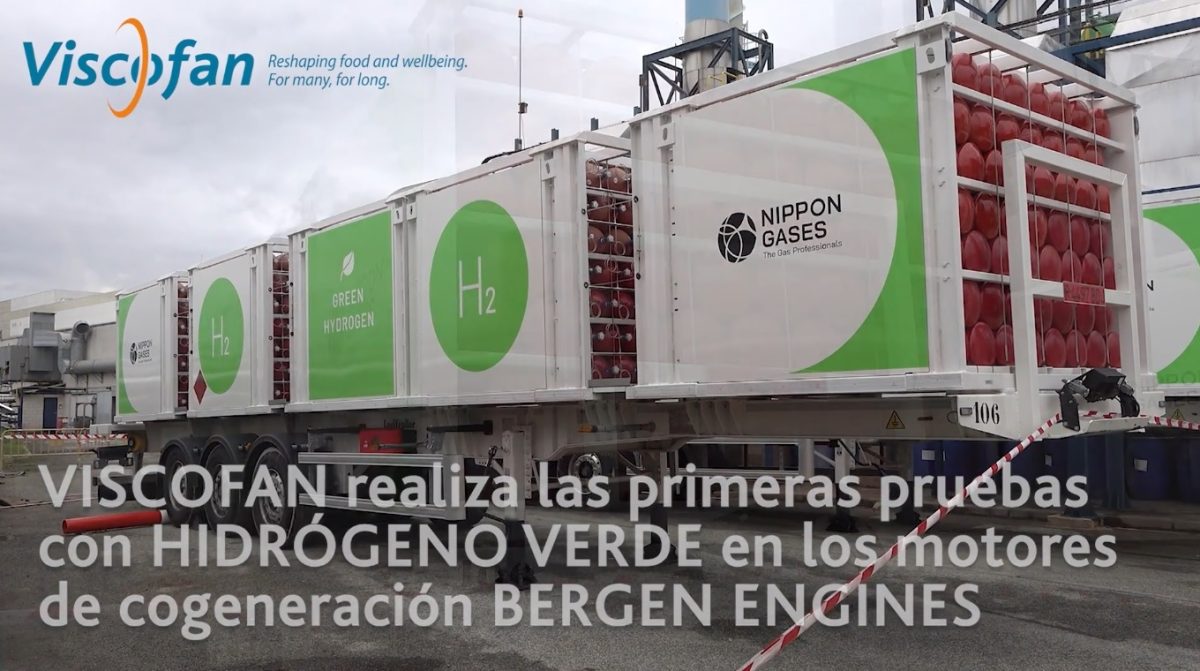Viscofan realiza os primeiros testes com hidrogênio verde em motores de ...